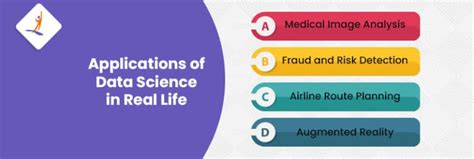 Why Data Science Is Important Intellipaat