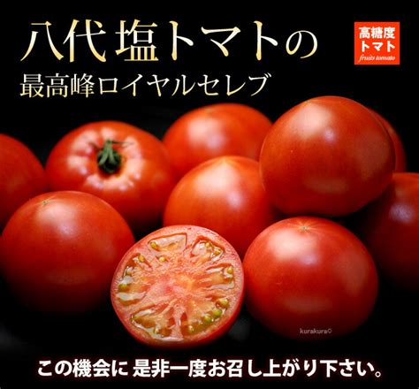 【楽天市場】塩トマト ロイヤルセレブ 約900g 熊本県 八代産 とまと 塩とまと はちべえトマト 高級 フルーツトマト フルーツ 糖度
