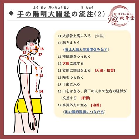 手の陽明大腸経LI 桃華堂のツボ辞典 漢方薬の桃華堂