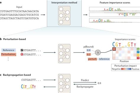 Deep Learning New Computational Modelling Techniques For Genomics Nature Reviews Genetics