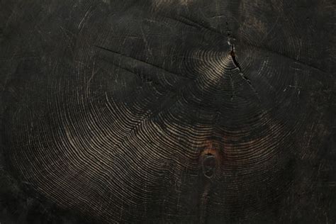 Redwood Tree Ring Sornational