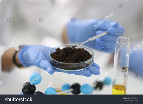 Properties Of Soil Experiment Images Stock Photos Vectors Shutterstock