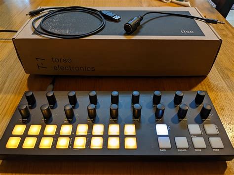 Torso Electronics T Algorithmic Sequencer Reverb