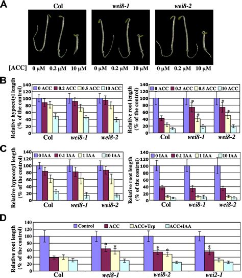 Taa1 Mediated Auxin Biosynthesis Is Essential For Hormone Crosstalk And