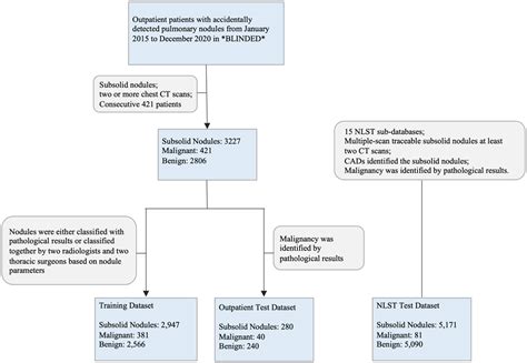 An Effective Malignancy Prediction Model For Incidentally Detected Pulmonary Subsolid Nodules