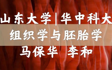 【山东大学华中科大】组织学与胚胎学（合66讲）马保华 李和 哔哩哔哩