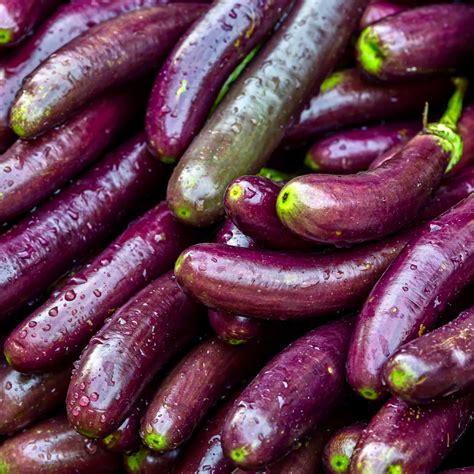 Organic Ping Tung Long Eggplant Solanum Melongena Annies Heirloom Seeds