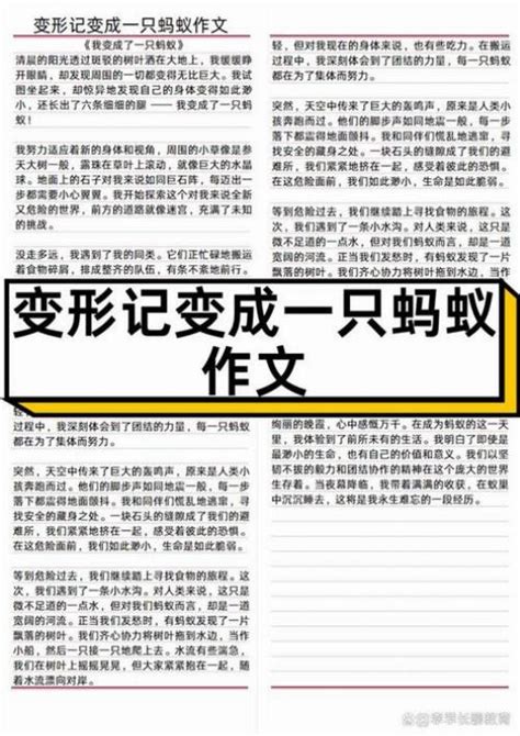 作文蚂蚁的家在哪里 史册号