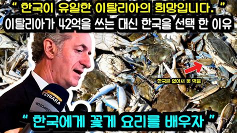 한국이 유일한 이탈리아의 희망입니다 푸른 꽃게로 고통받고 있는 이탈리아의 구세주 한국이 되다 요리의 자부심이 큰