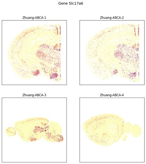 Merfish Whole Mouse Brain Spatial Transcriptomics Xiaowei Zhuang