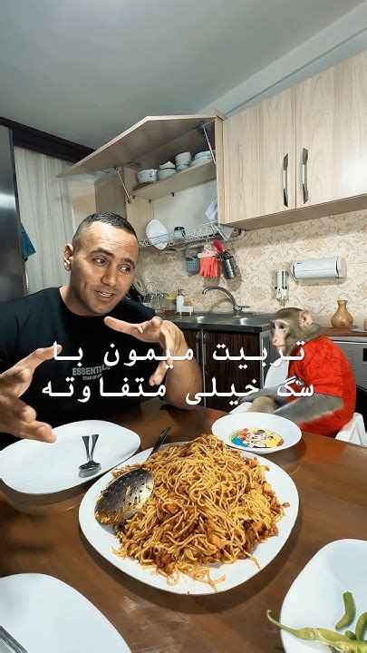 تربیت میمون و سگ خیلی متفاوته نباید عقده ای بشه Youtube