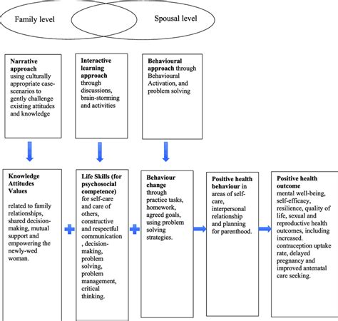 conceptual framework of the intervention download scientific diagram