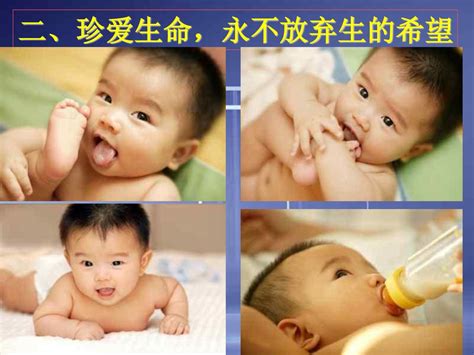 珍爱生命 Ppt Download