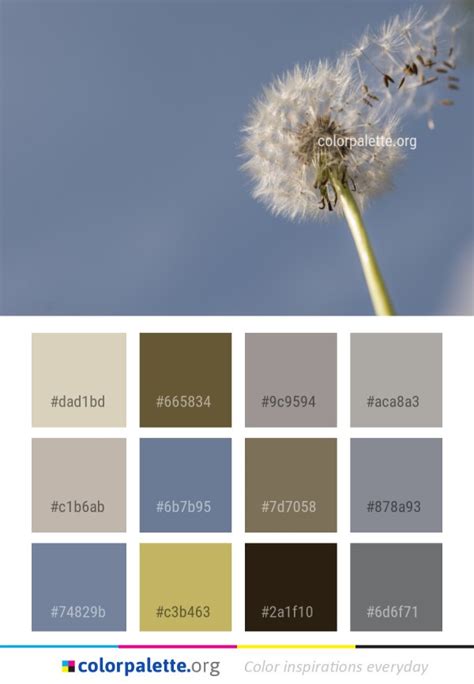 Sky Flower Dandelion Color Palette