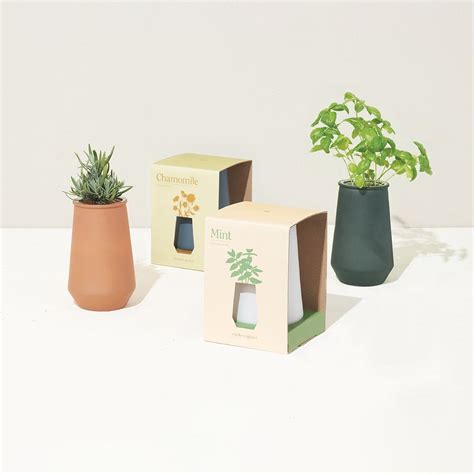 Herb Grow Kit Grow Kit Herbs Indoors Indoor Herb Garden