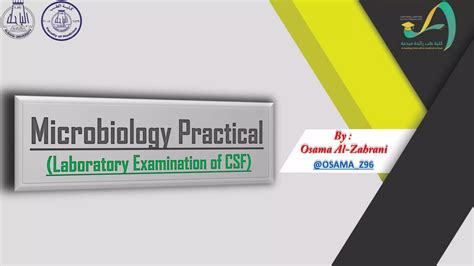 Microbiology Laboratory Examination Of Csf Pdf Medical Health