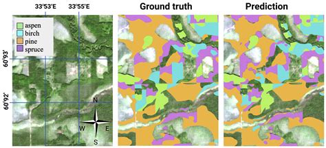Forests Free Full Text Tree Species Mapping On Sentinel 2 Satellite Imagery With Weakly