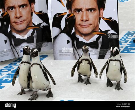 Penguins Premiere Mr Popper S Penguins Shown At The Chinese Grauman