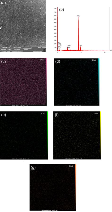Sem Image A Edx Spectrum B And Element Mapping Titanium C Download Scientific Diagram