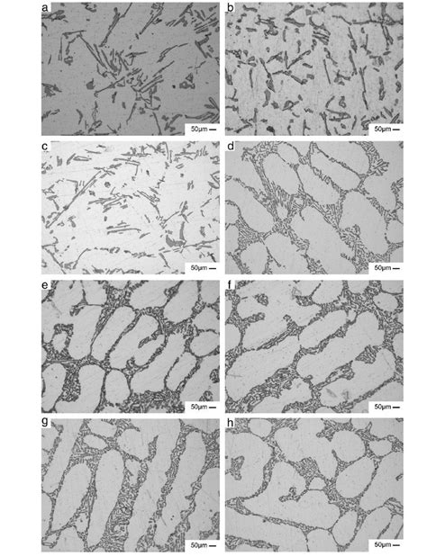 11 Dendritic Microstructures Of As Cast Alloys With Increasing Sc Download Scientific Diagram