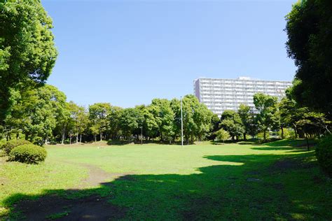 港南台ちどり団地のくらし（神奈川県）｜ur賃貸住宅