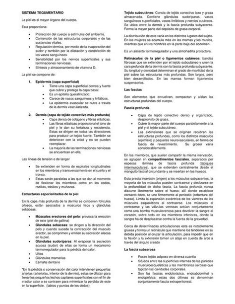 Sistema Tegumentario Evelyn Aguilar UDocz