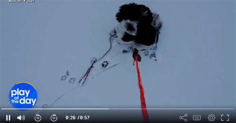 영상 얼음 호수에서 꽁꽁 드론 통해 구출된 강아지