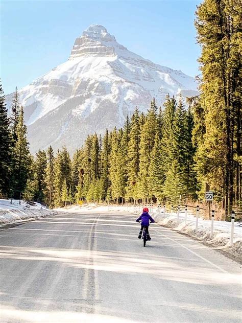 Bow Valley Parkway Scenic Drive A Locals Guide Travel Banff Canada