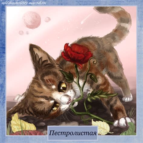 Spottedleaf Warriors By Romashik Arts On Deviantart