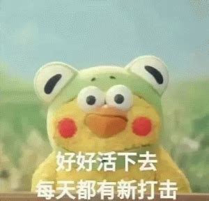 可爱小黄鸡 好好活下去 每天都有新打击表情包图片gif动图 求表情网 斗图从此不求人