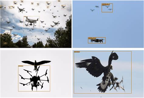 Yolox Object Detector Paper Explanation And Custom Training Learnopencv