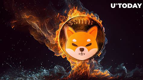 Shiba Inu Weekly Burn Rate Skyrockets 1517 As Billions Of Shib Burned