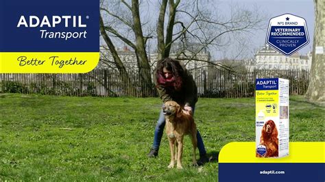 How To Use Adaptil Transport Spray Youtube