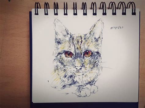 일러스트레이터 루나 Luna 장정화 Facebook