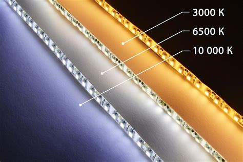SMD 5630 (60 LED/m) IP20 Econom White (6000K) купить