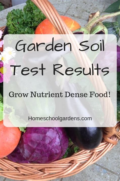 Growing Nutrient Dense Food My Soil Test Homebabe Gardens