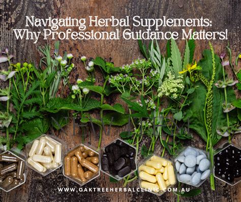 The Importance Of Professional Guidance In Herbal Supplementation Oak Tree Herbal Clinic