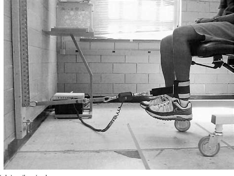 Figure 1 From The Reliability Of Portable Fixed Dynamometry During Hip And Knee Strength