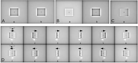 Results Of The Simulation Of Image Formation For A Rectangular