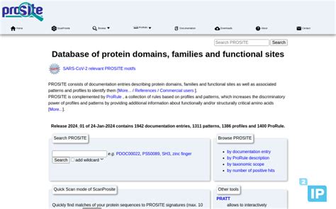 Website Information