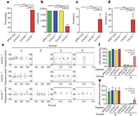 Genetic Link To Sexual Preference Found In Mice Rscience