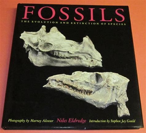 Fossils The Evolution And Extinction Of Species By Eldredge Niles