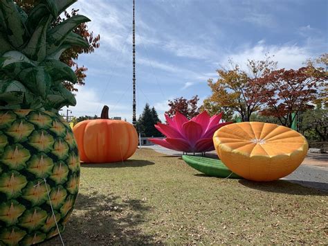 独自の空間が広がる特別展！霧島アートの森「チェ・ジョンファ展」