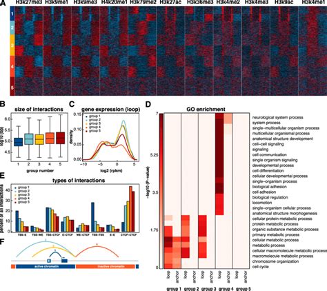 Chromatin Domains Revealed By Clustering Interactions A Interactions