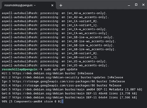 How To Install Linux Apps On A Chromebook Simple Help