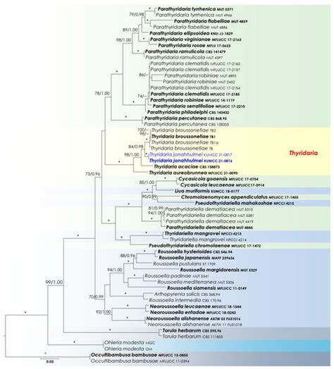 Biology Special Issue Studies On Species Diversity And Phylogeny Of