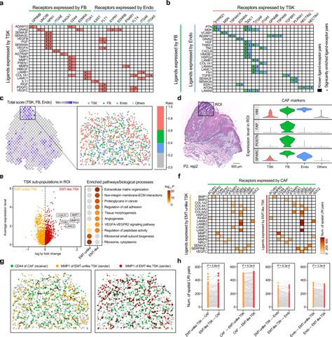 Knowledge Graph Based Cell Cell Communication Inference For Spatially Resolved Transcriptomic