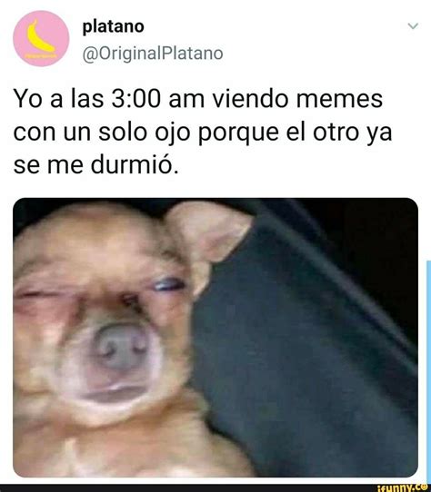 Yo Alas Am Viendo Memes Con Un Solo Ojo Porque El Otro Ya Se Me Durmio IFunny Brazil