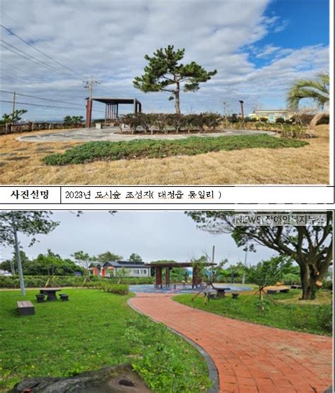 서귀포시 기후위기 대응 도시숲 조성 사업 추진 Dwbnews장애인복지뉴스