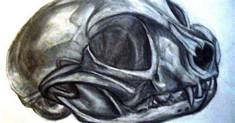 Coursework 1 Album On Imgur